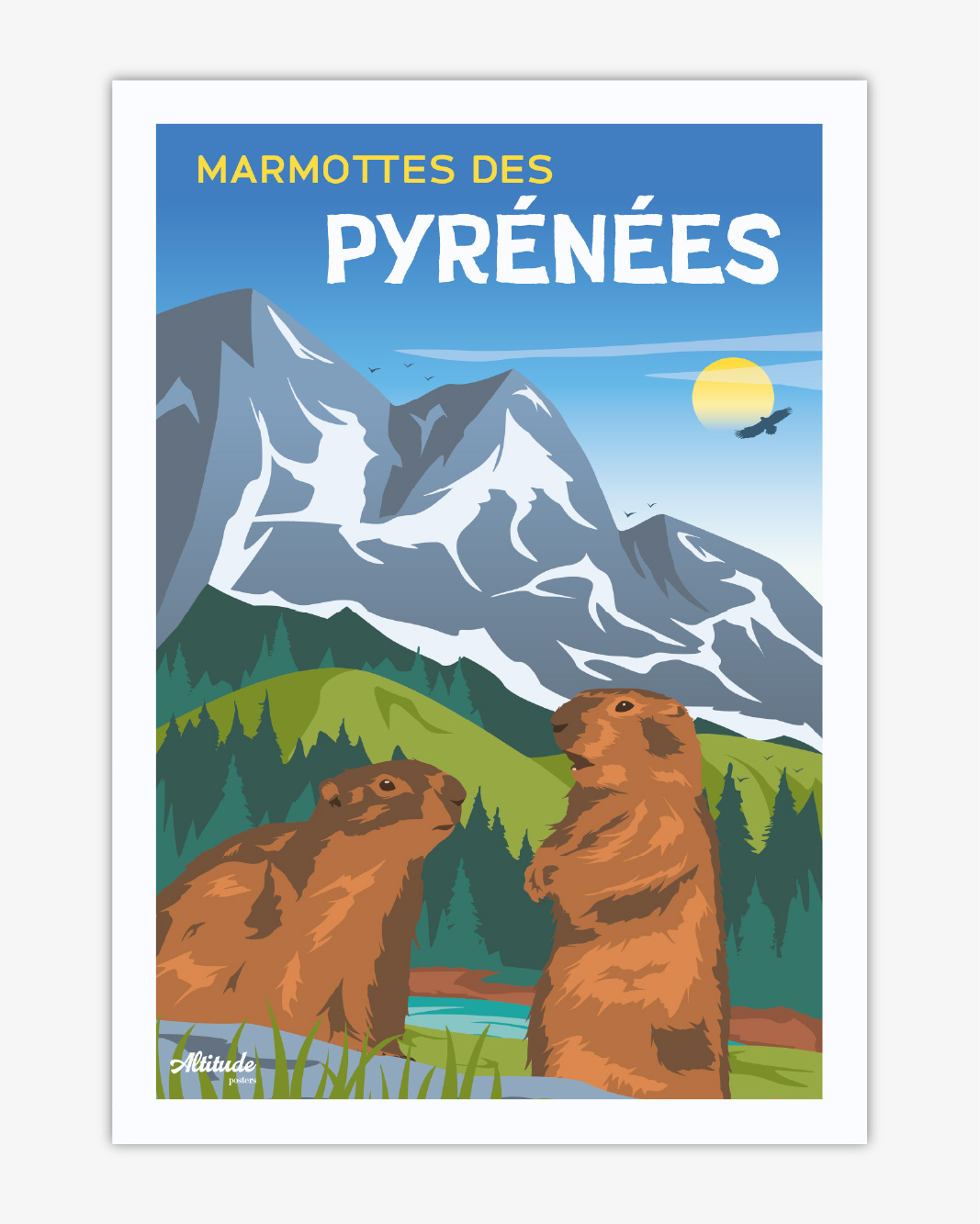 Carte postale Marmottes des Pyrénées Vintage - Carte Postale Rétro